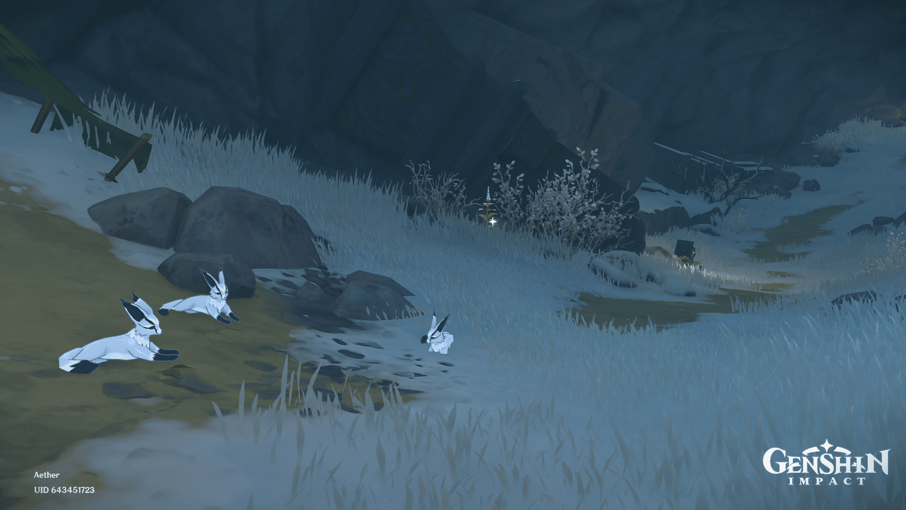 Snow Foxes Genshin Impact | HoYoLAB