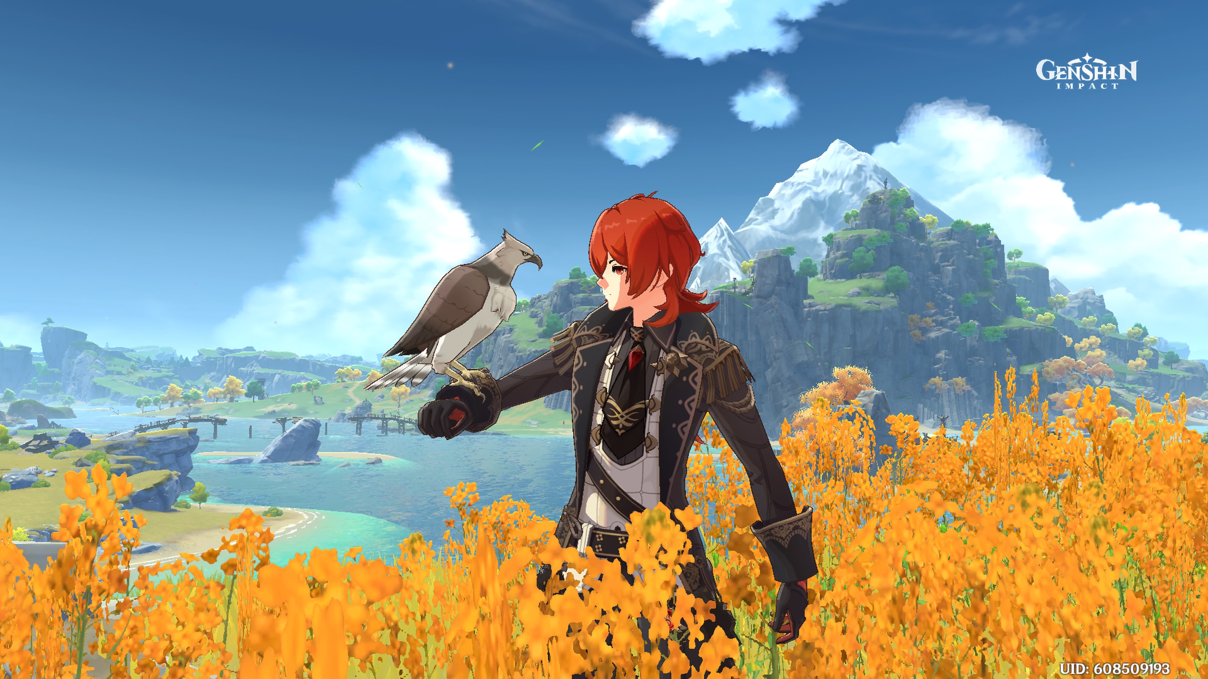 A Falcon in a Far Land. Genshin Impact | HoYoLAB