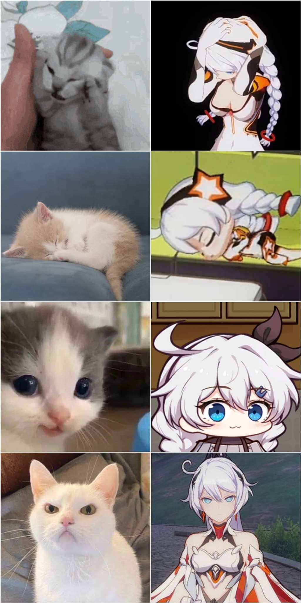 so cute Honkai Impact 3rd | HoYoLAB