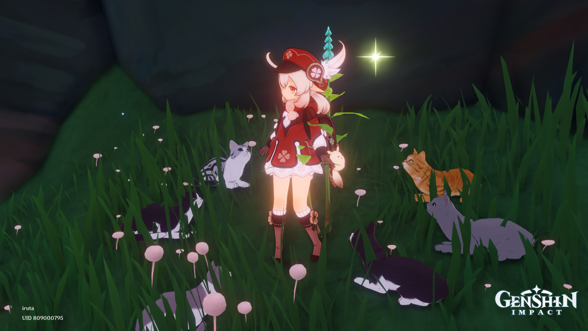 klee & kamera UwU | HoYoLAB