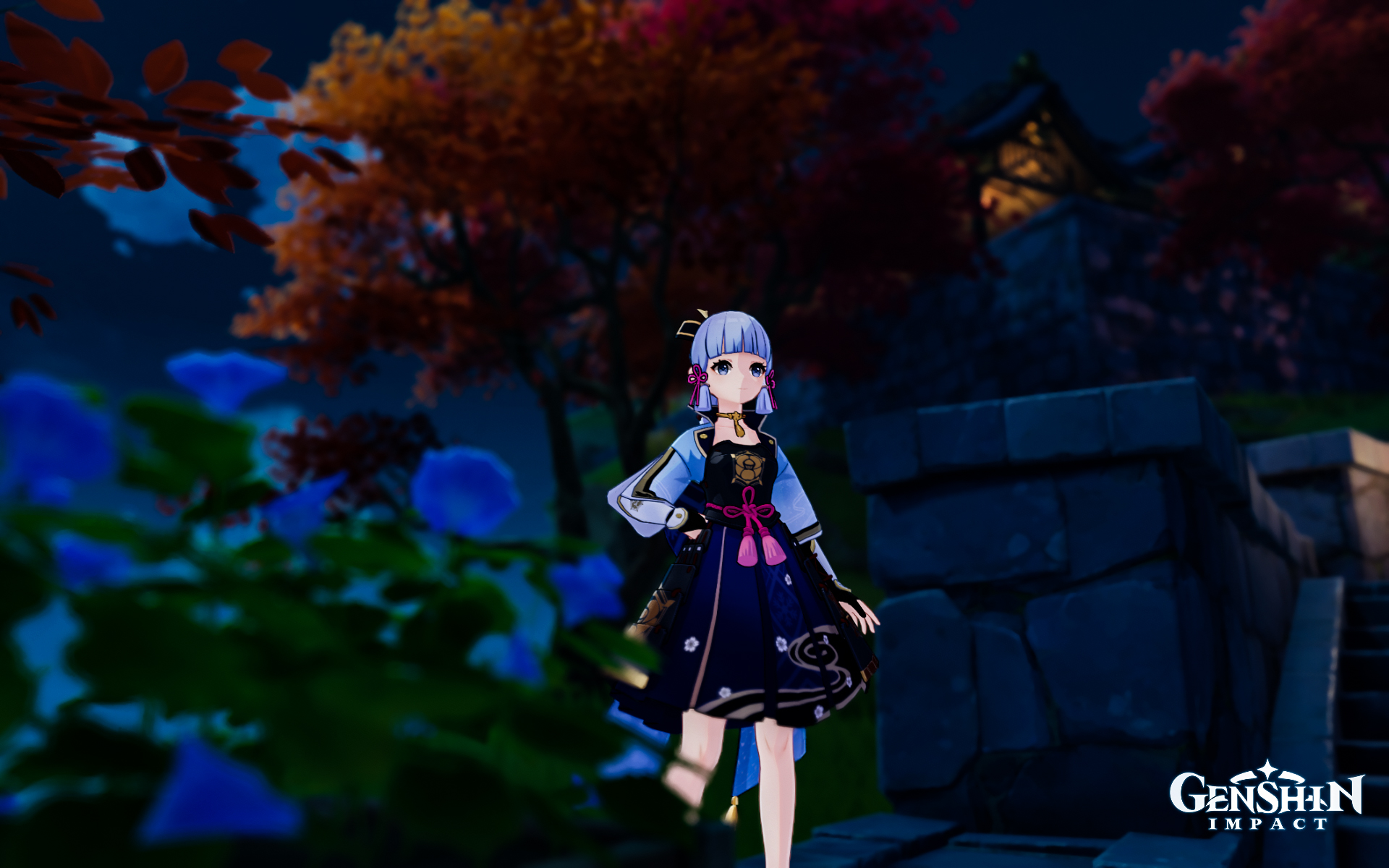 When You Are The Source Of Light, In Inazuma's Starry Night. Genshin ...