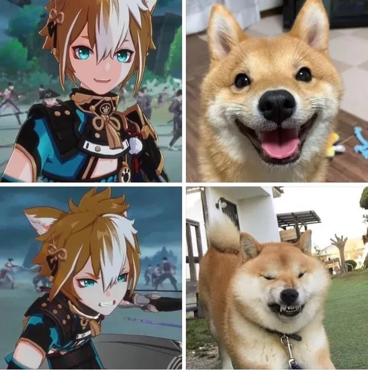 GOROU IS SO CUTE! Genshin Impact | HoYoLAB