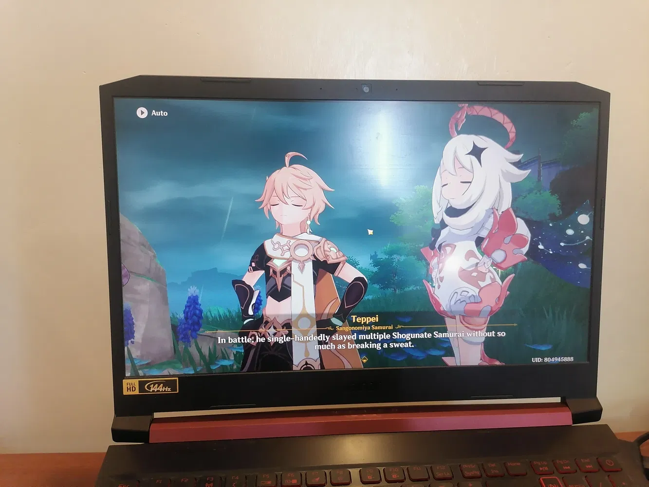 I just love whenever Paimon and Aether do the smug/proud? face Genshin ...