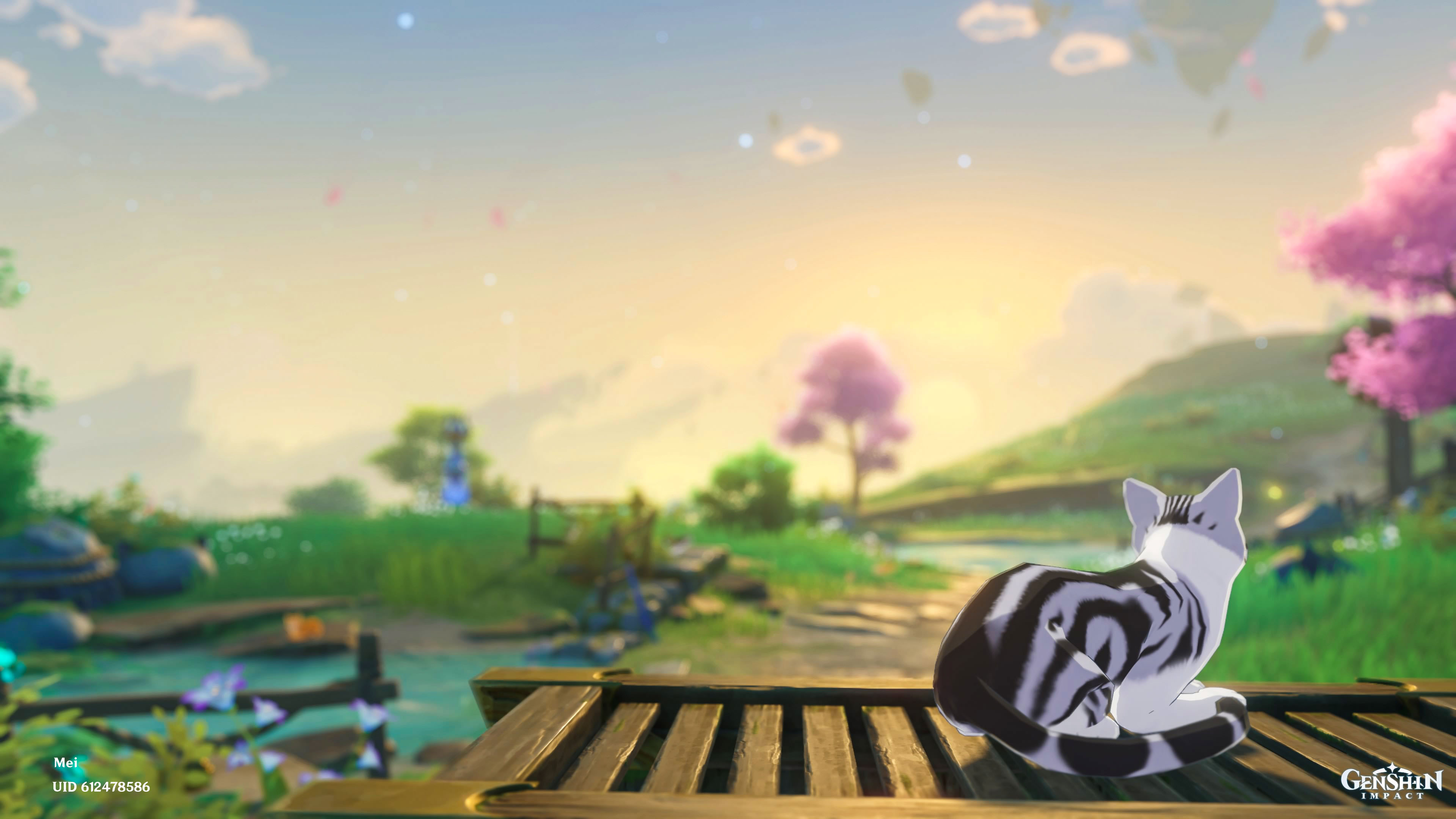 Sunrise to Nightfall Genshin Impact | HoYoLAB