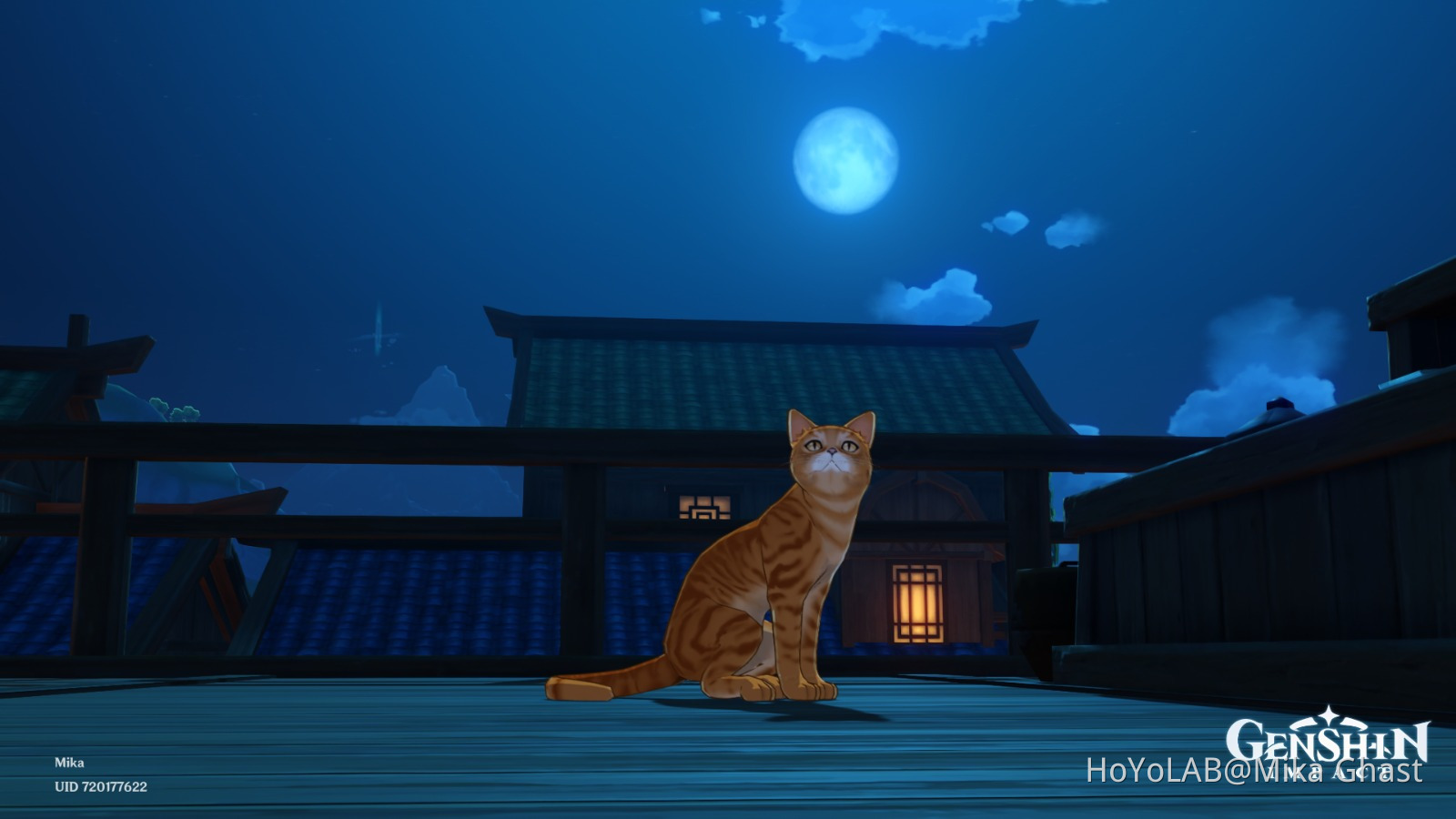 looking the moon Genshin Impact | HoYoLAB