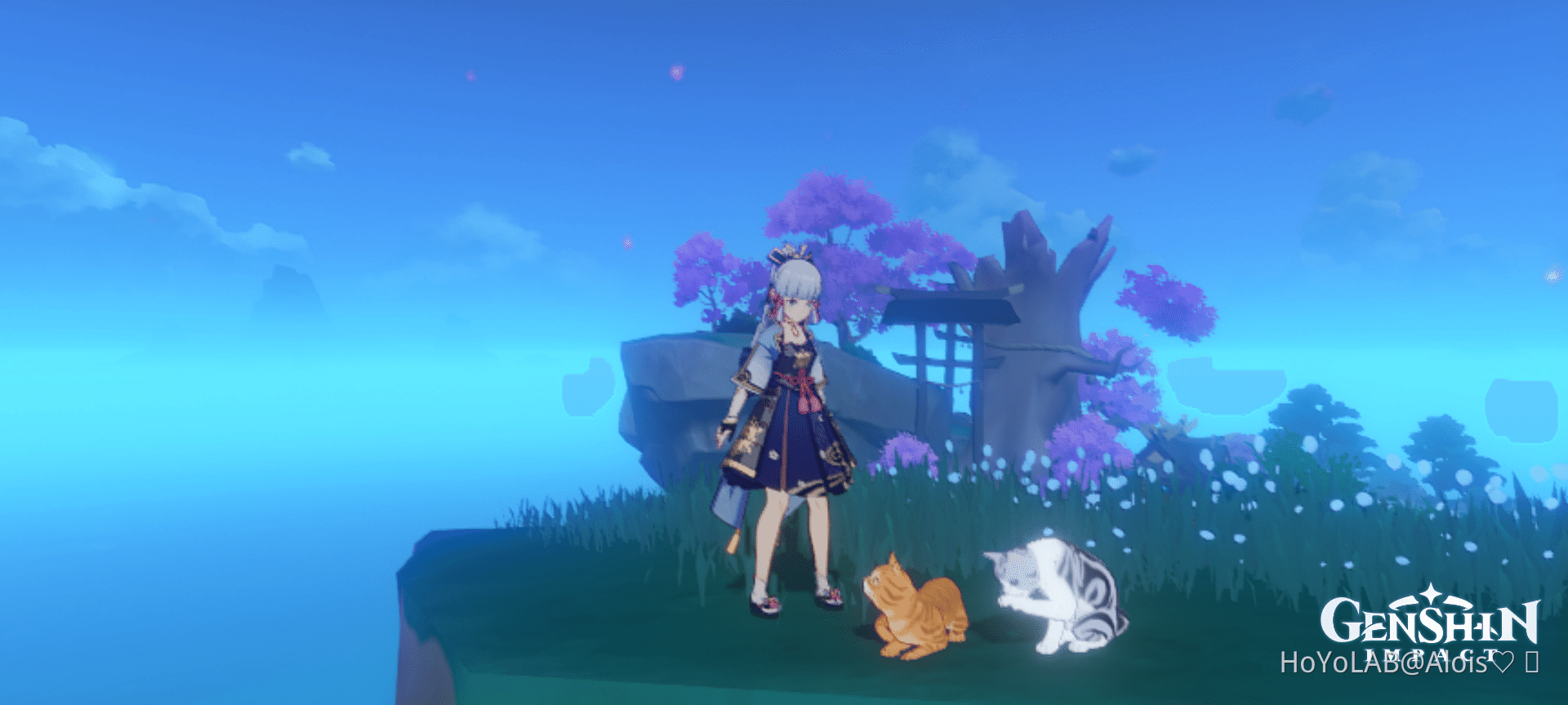 Cat island in inazuma (=^ェ^=) (location in first image) | Genshin ...