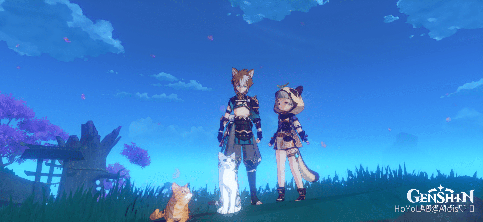 Cat island in inazuma (=^ェ^=) (location in first image) | Genshin ...