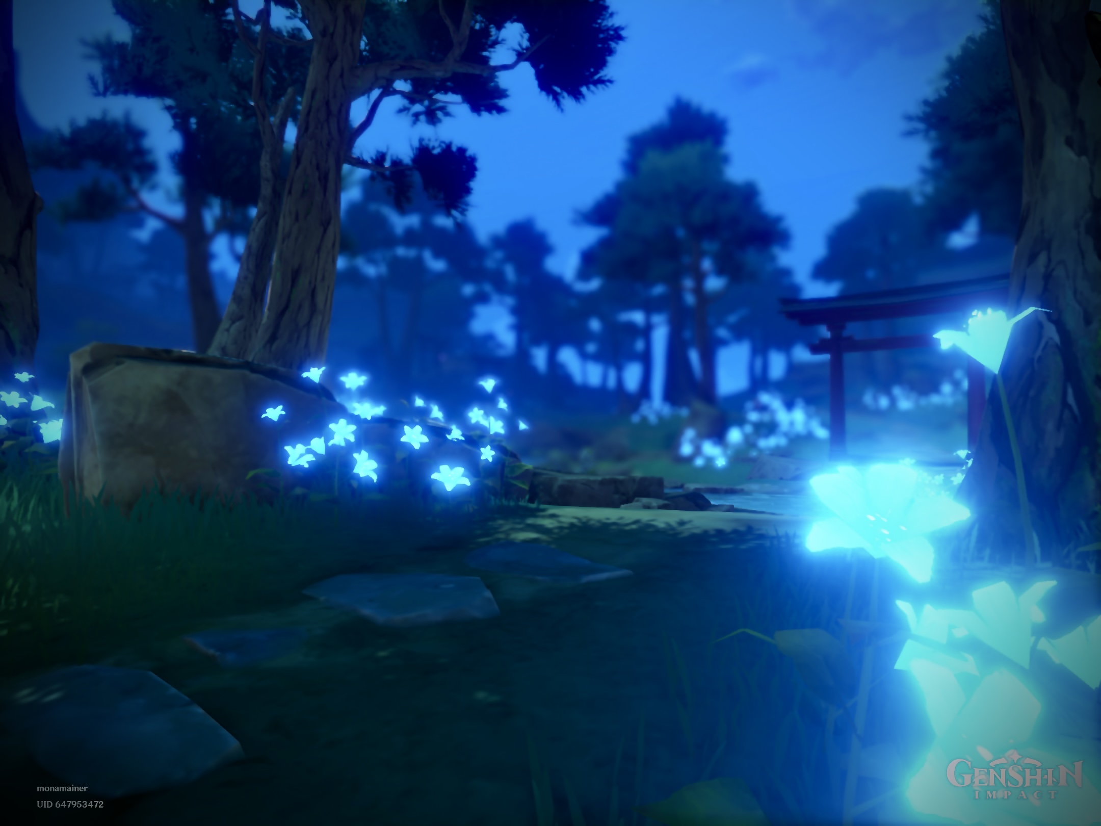 Day 1 of Inazuman photography: Chinju Forest | Genshin Impact | HoYoLAB