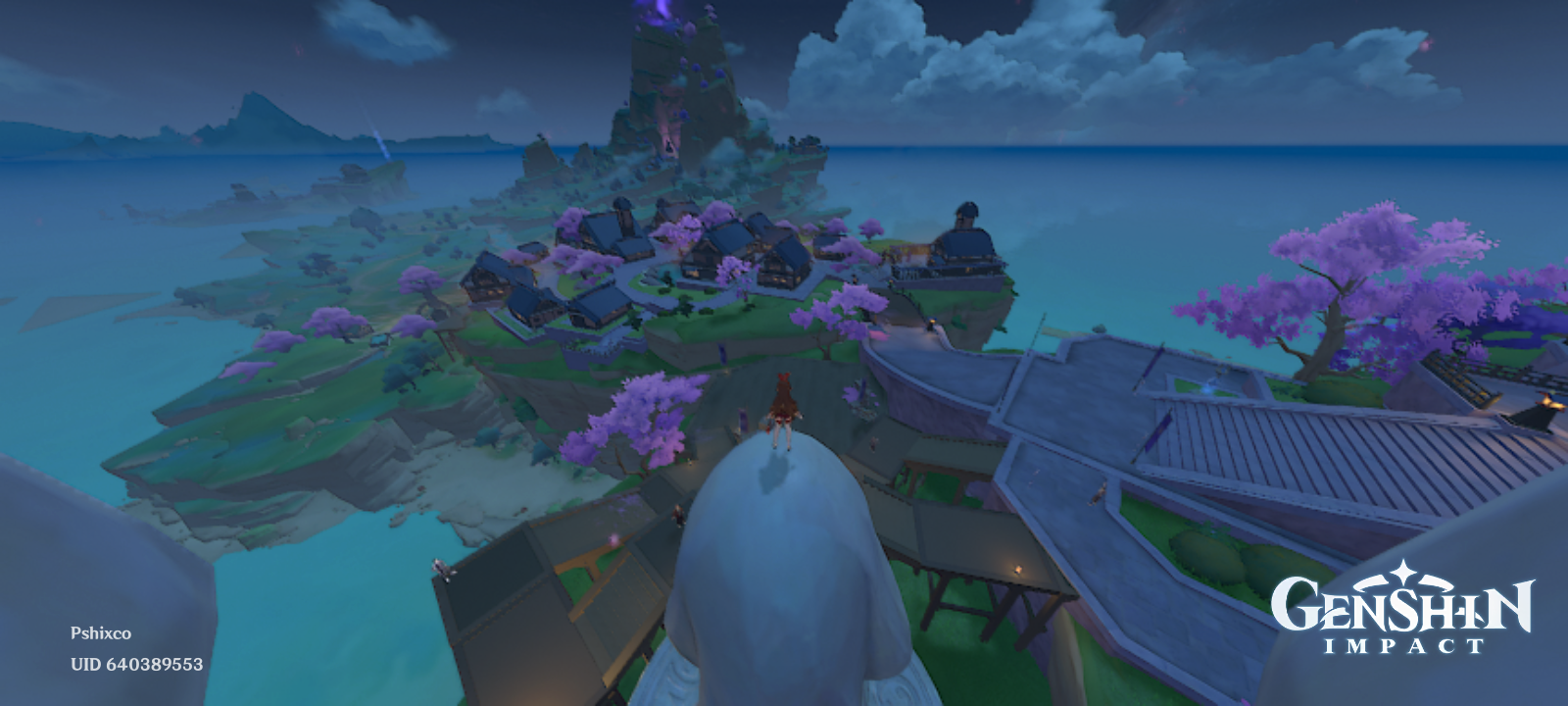 Finished the first Raiden Fight on May 31st! Genshin Impact | HoYoLAB