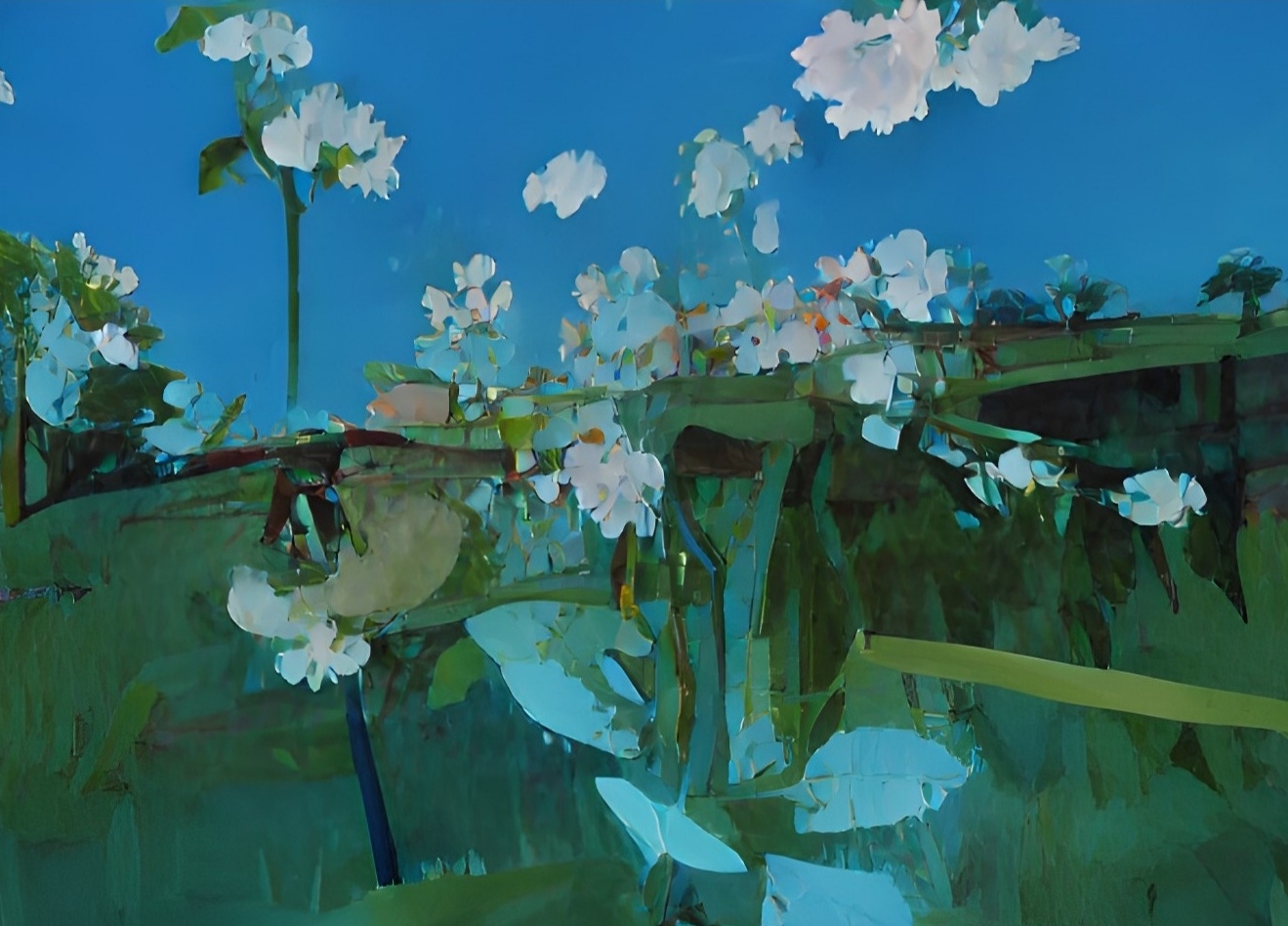 Flower Genshin Impact | HoYoLAB