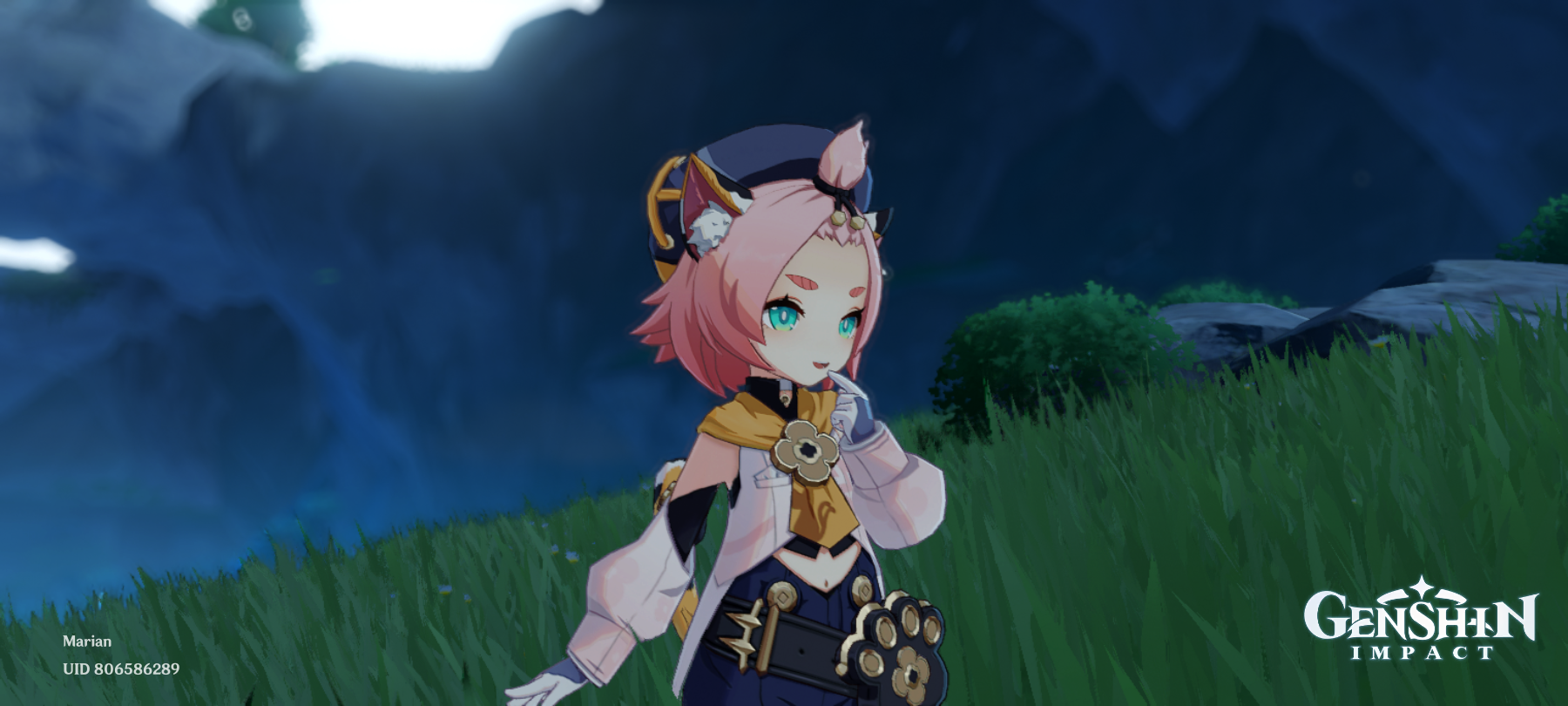 Diona picture day ! Genshin Impact | HoYoLAB
