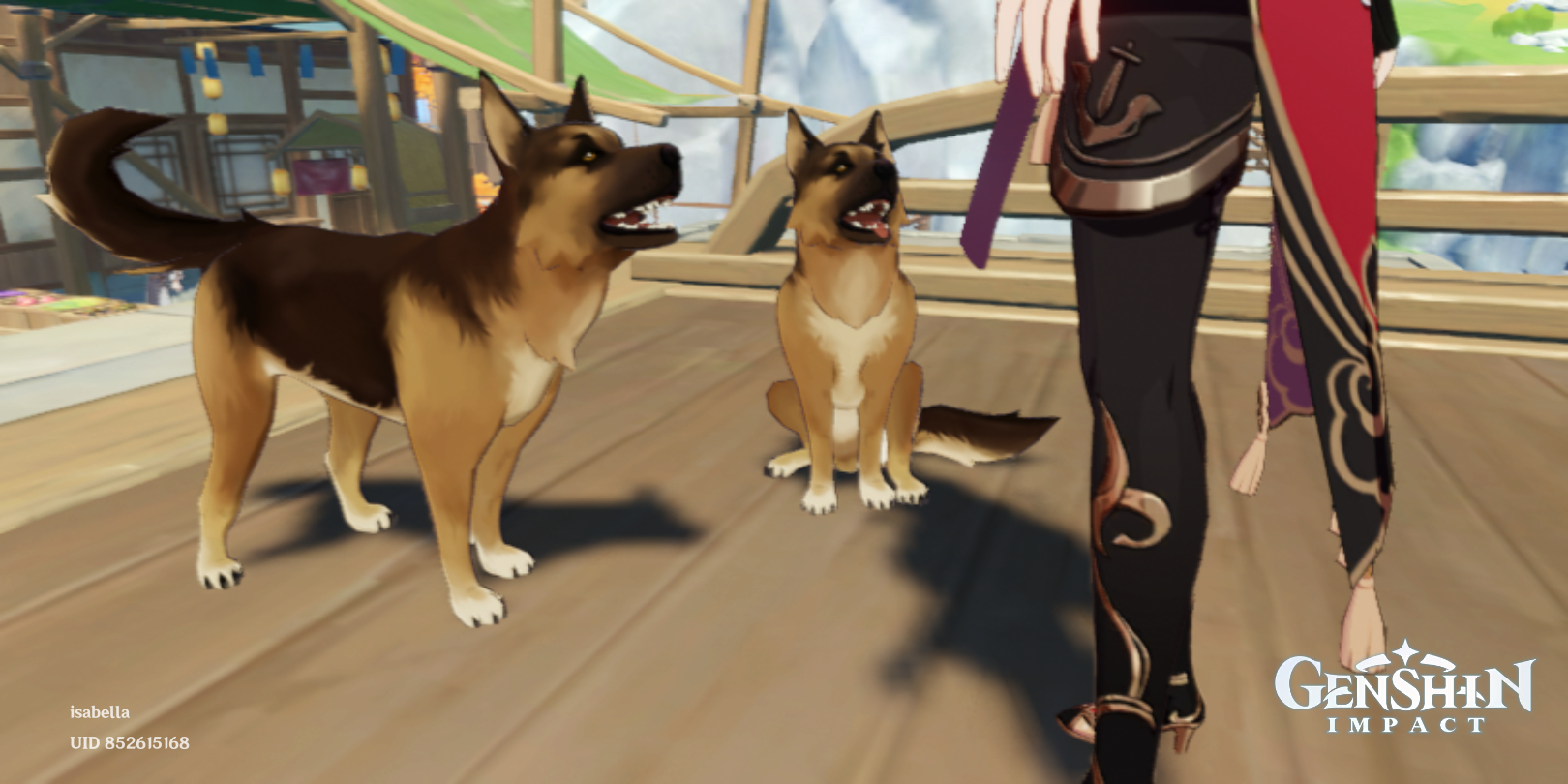 dogs in liyue | Genshin Impact | HoYoLAB