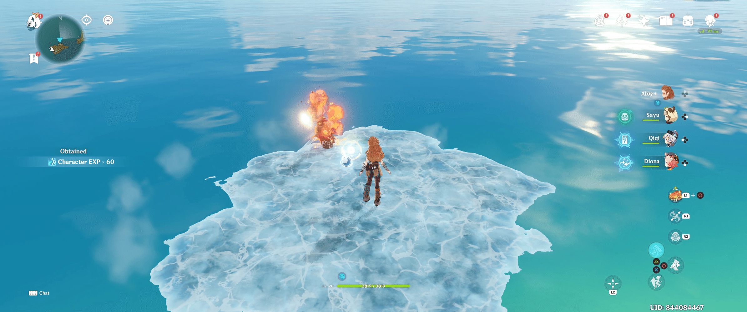 Lesser-Spotted Emerald Finch (Daily Adventure - June 6) Genshin Impact ...