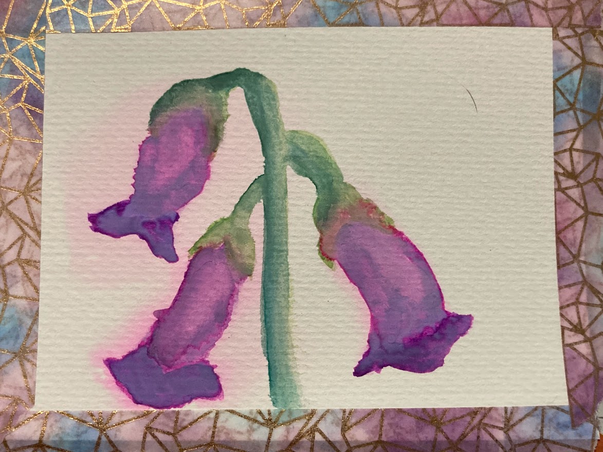 Violet Grass Genshin Impact | HoYoLAB