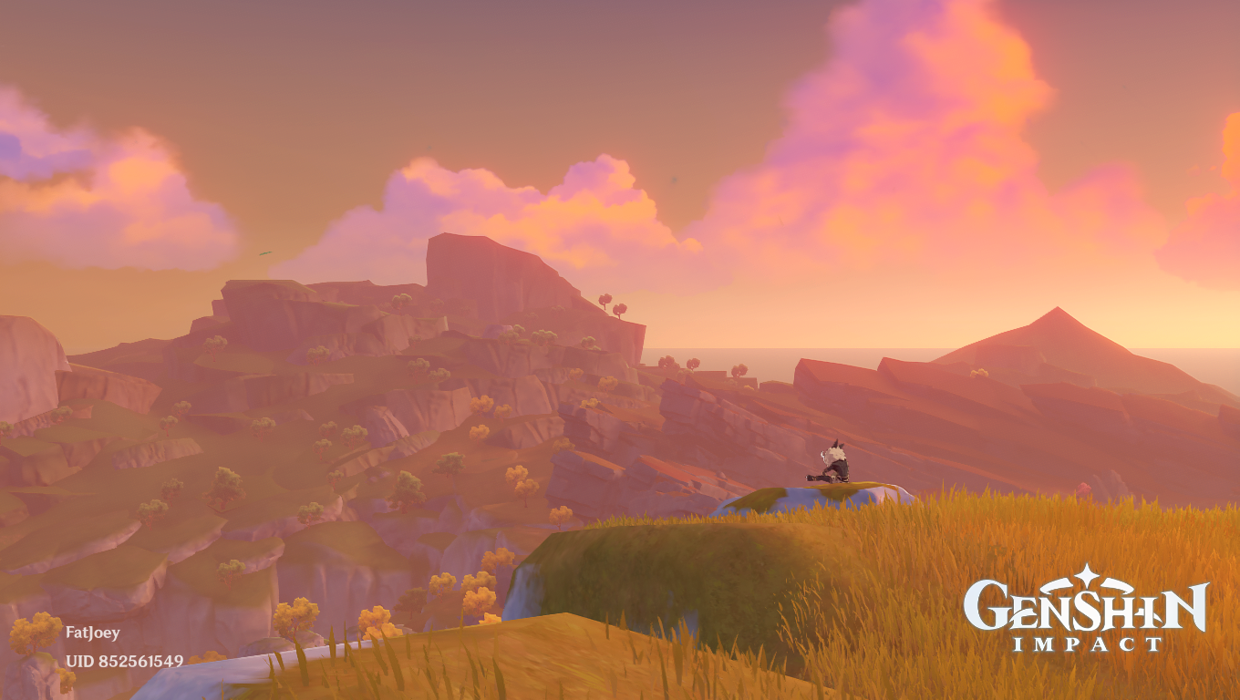 Just enjoying the view. Genshin Impact | HoYoLAB