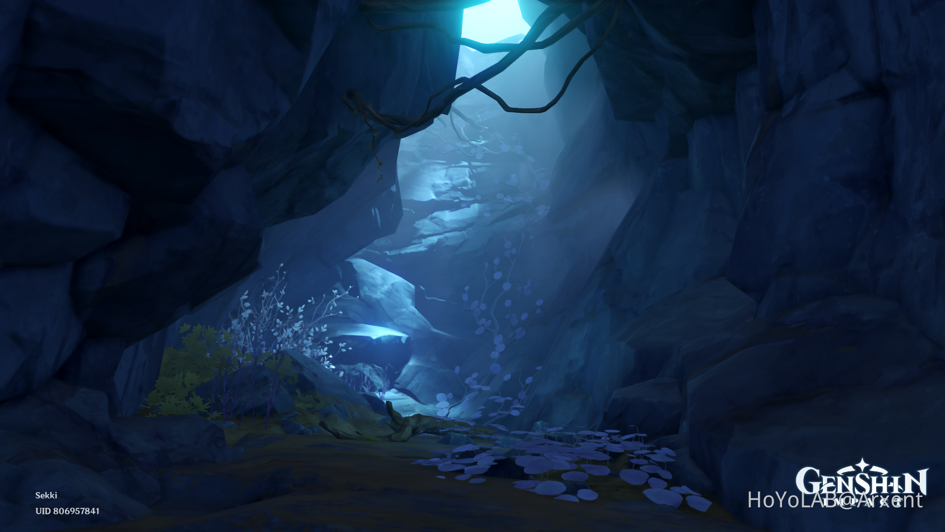 The beauty of Chasm | Genshin Impact | HoYoLAB