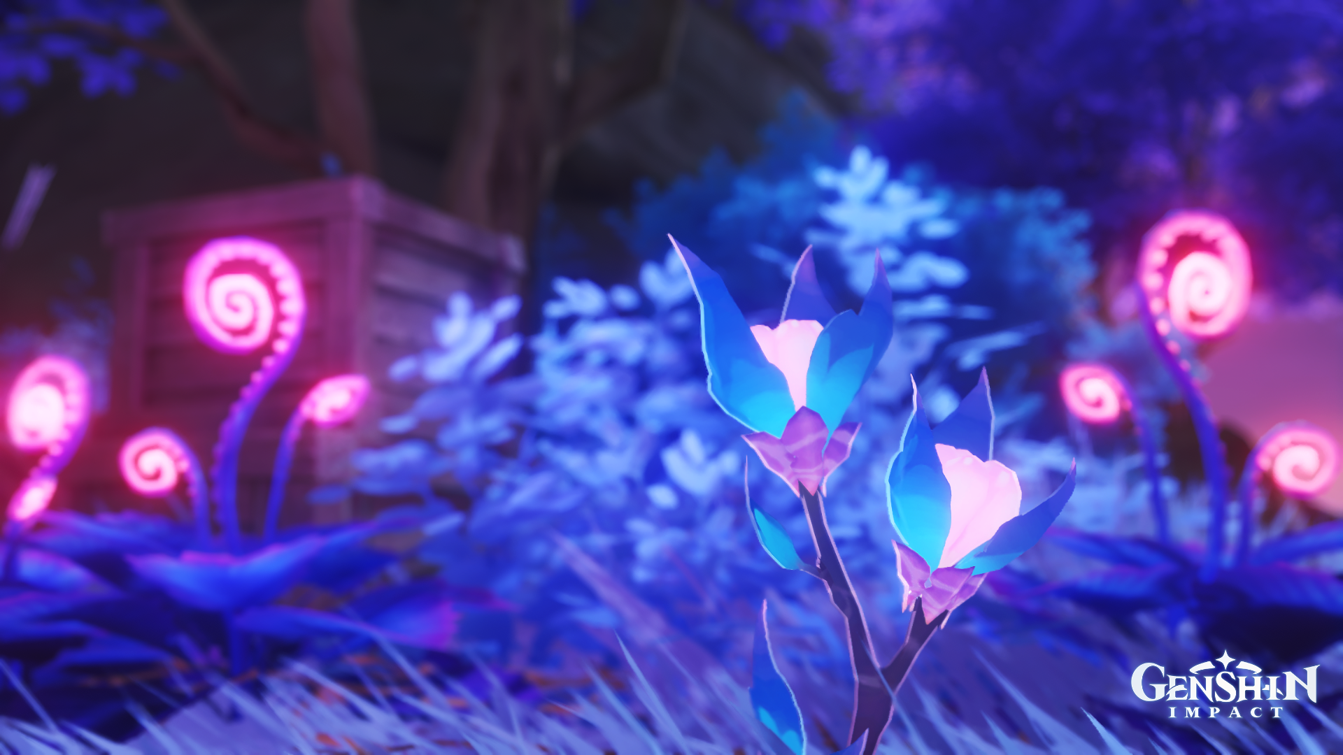 Flora in Inazuma Genshin Impact | HoYoLAB