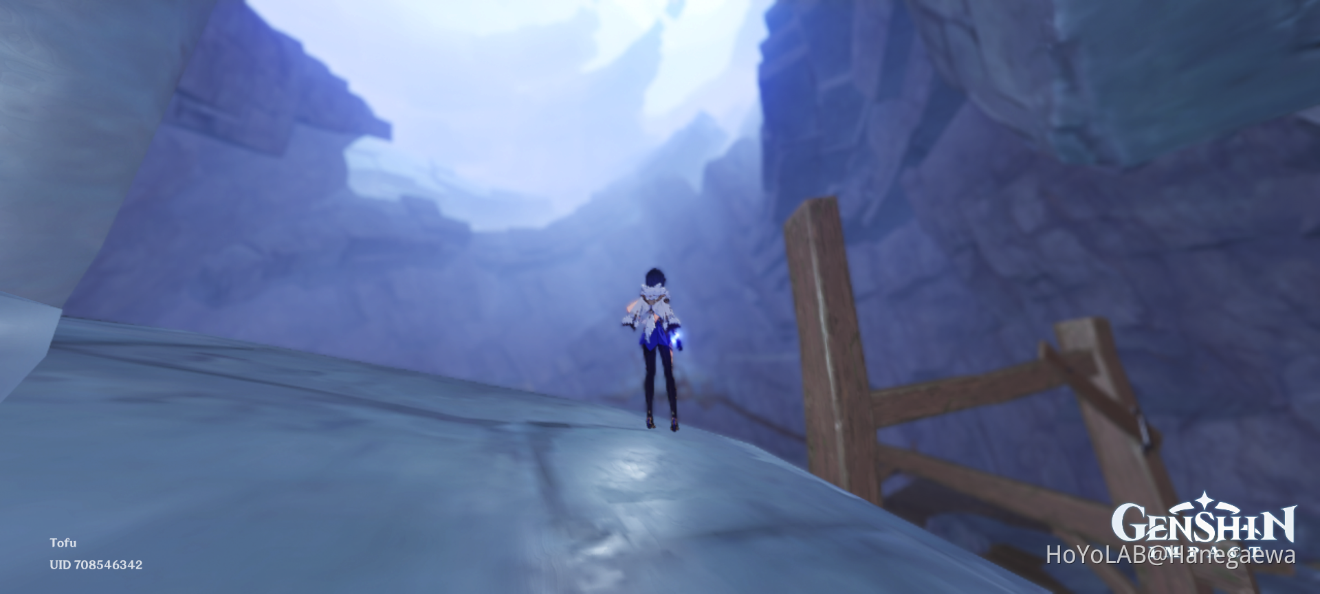 Chasm exploration Genshin Impact | HoYoLAB