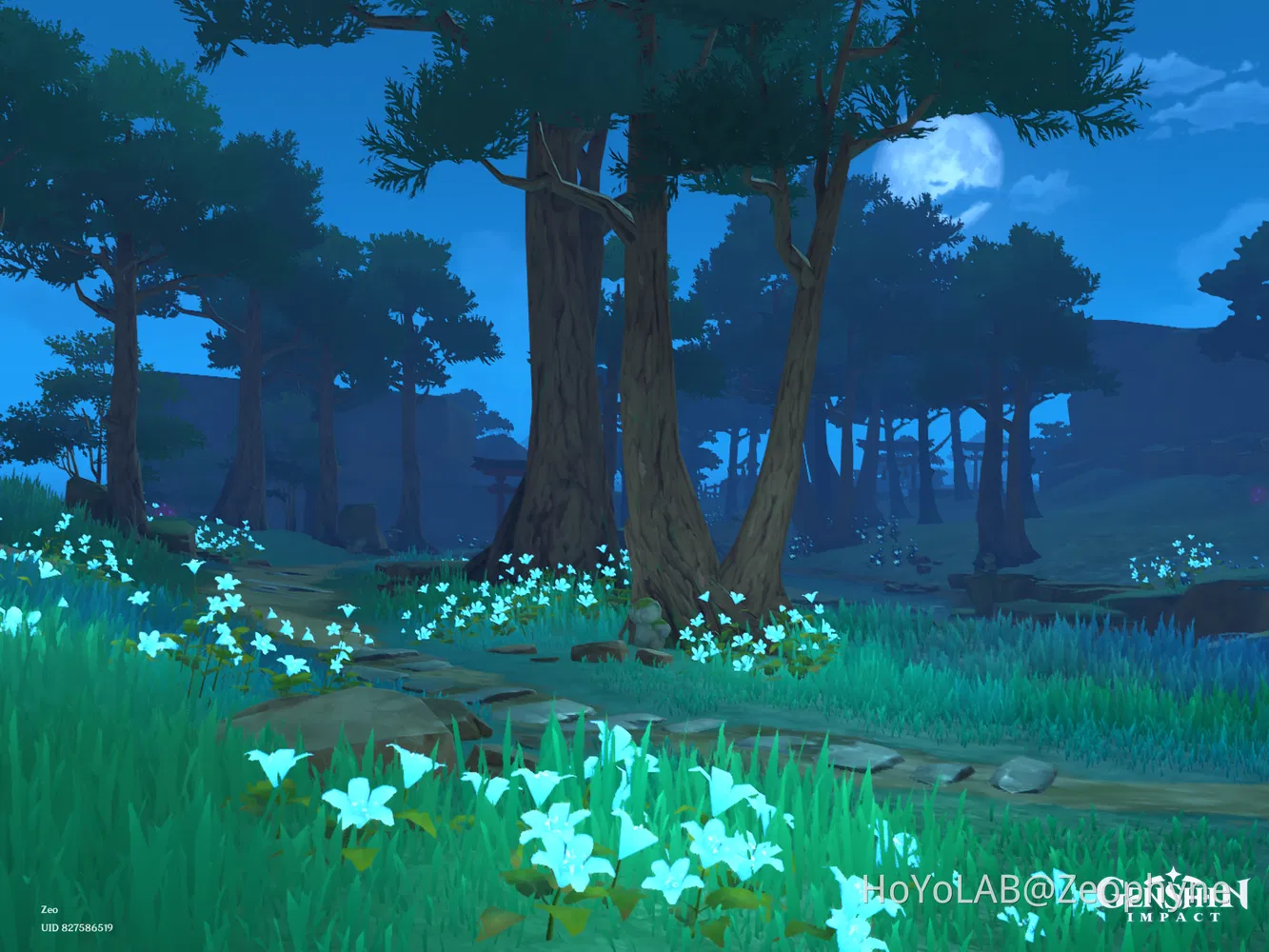 Chinju Forest Genshin Impact | HoYoLAB