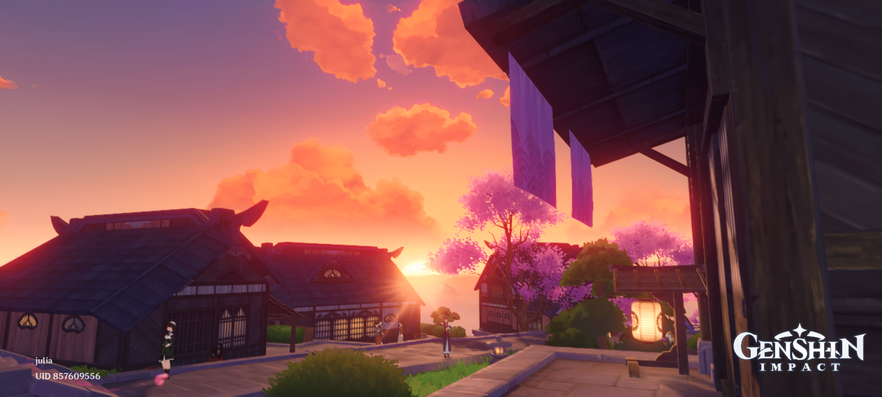 Daily Adventure: First sunset in Inazuma Genshin Impact | HoYoLAB