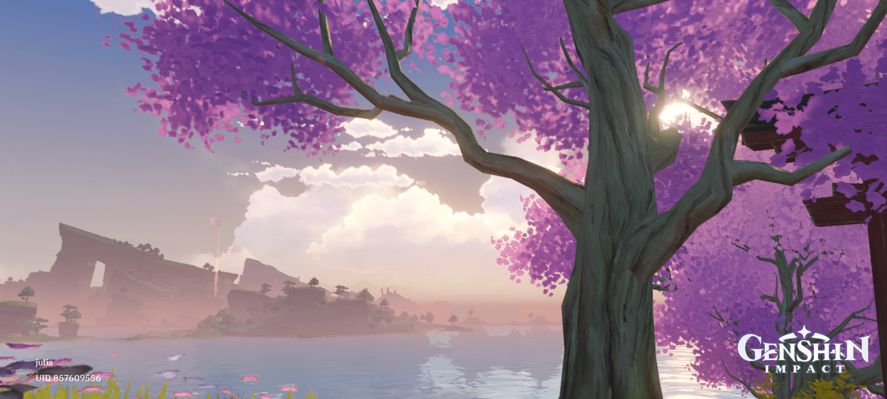 Daily Adventure: First sunset in Inazuma Genshin Impact | HoYoLAB