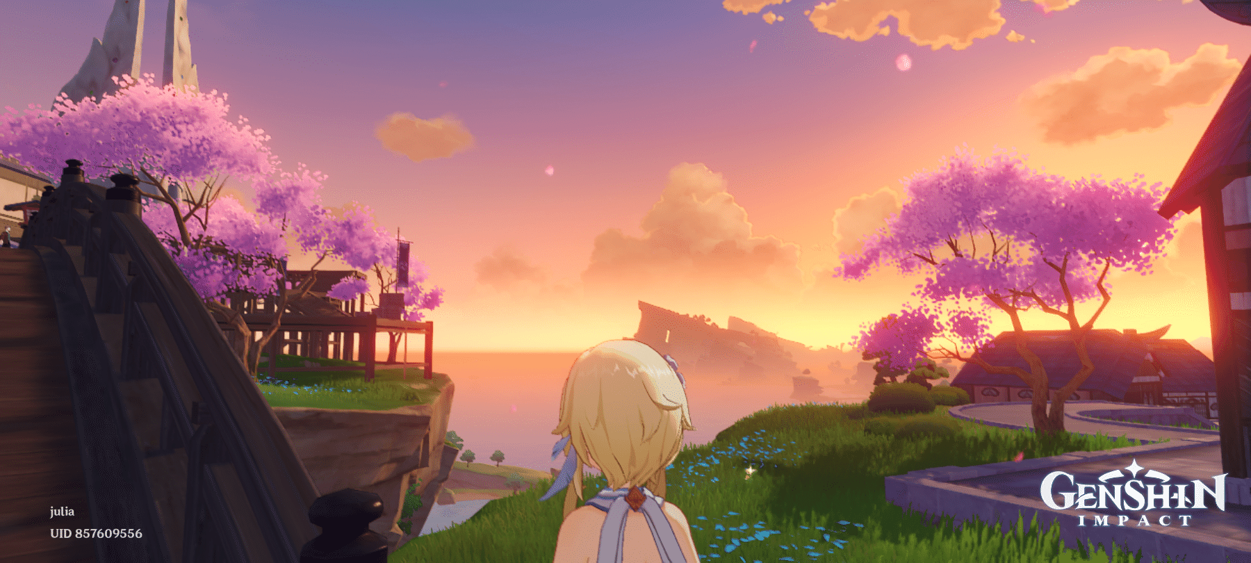 Daily Adventure: First sunset in Inazuma Genshin Impact | HoYoLAB