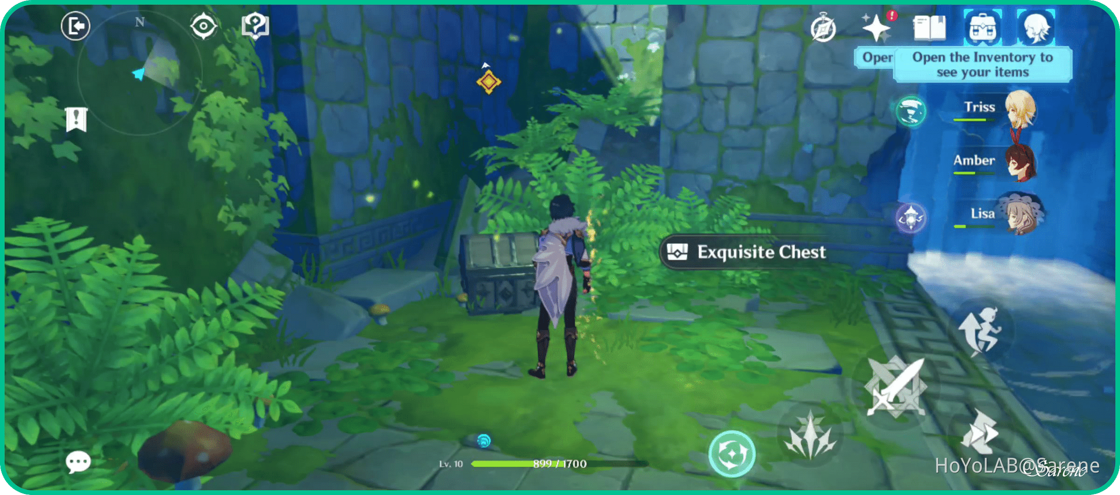 [Domain Chests] Hidden Teardrop in the Heart of the Jungle (8 Chests ...