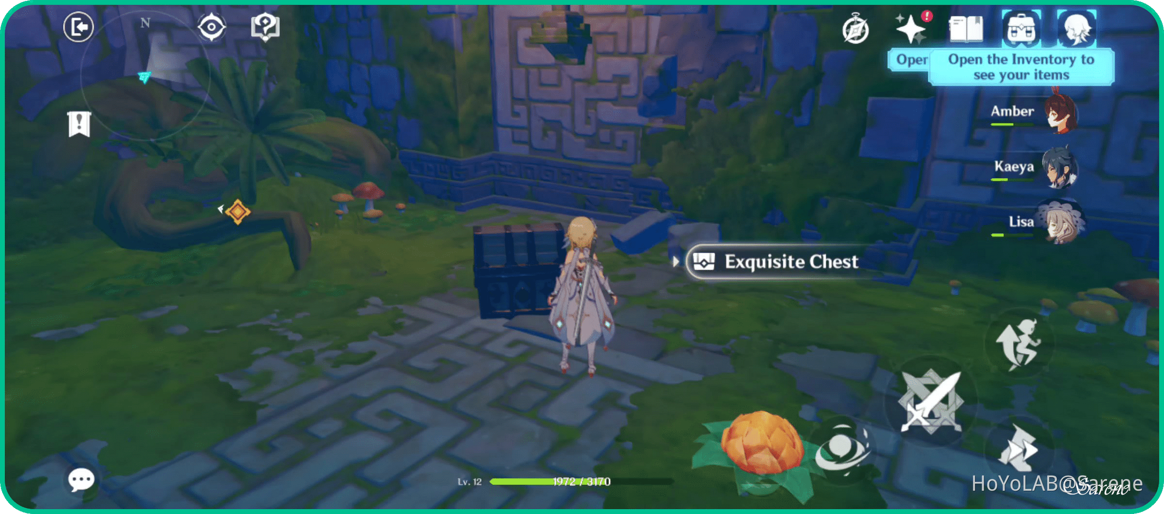 [Domain Chests] Hidden Teardrop in the Heart of the Jungle (8 Chests ...