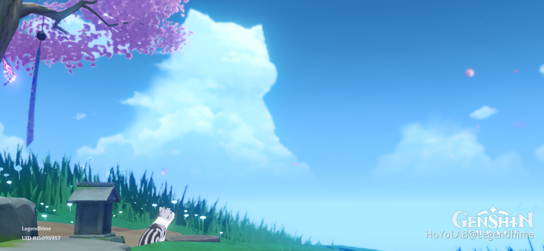 Inazuma Cat 🐱 Genshin Impact | HoYoLAB