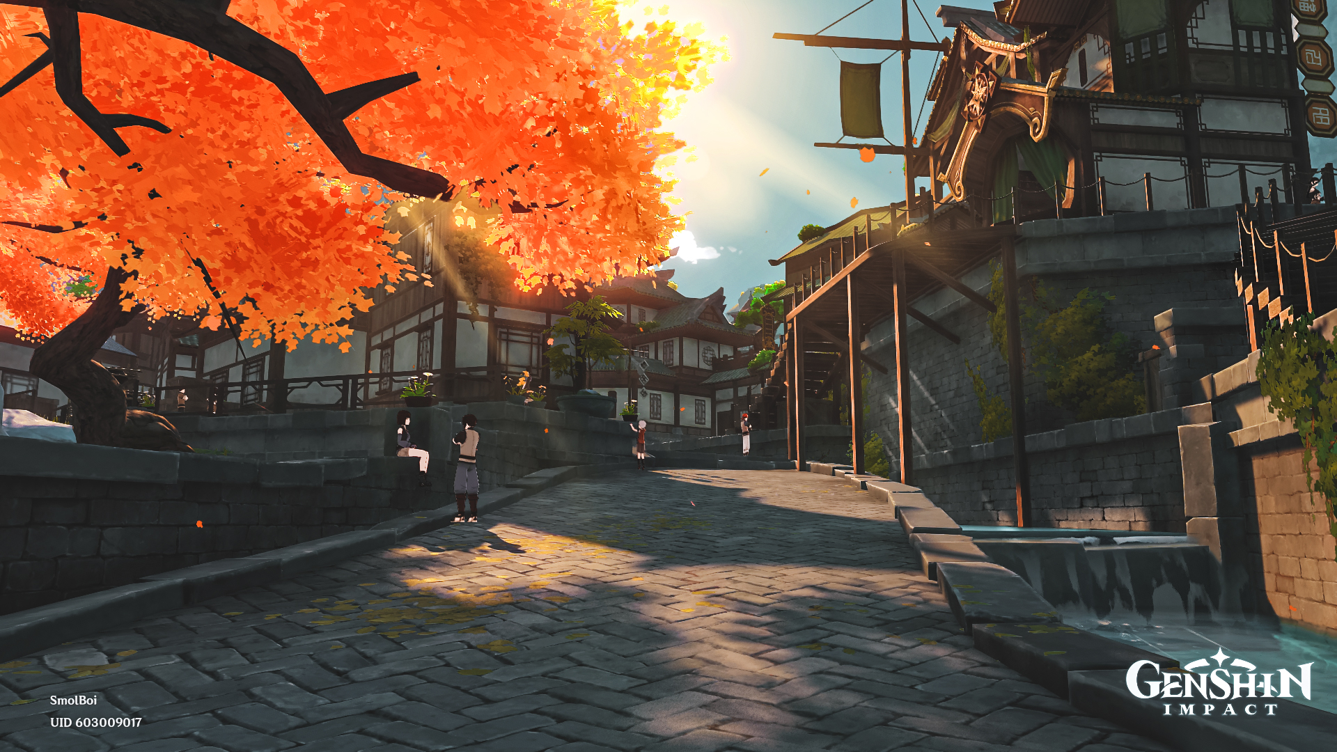 Day 13 of 100: Chihu Rock: Liyue Harbor | HoYoLAB