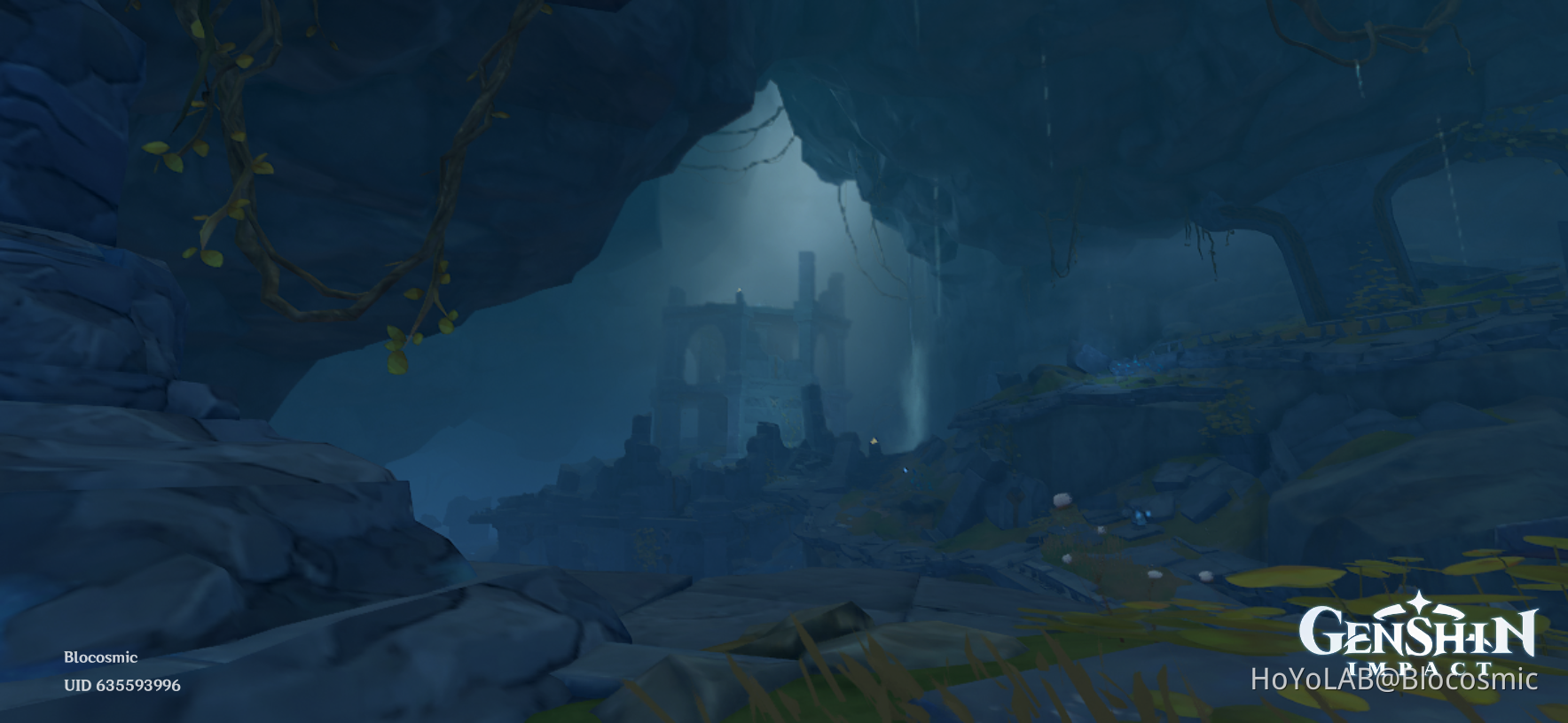 Another photo from the Chasm Genshin Impact | HoYoLAB