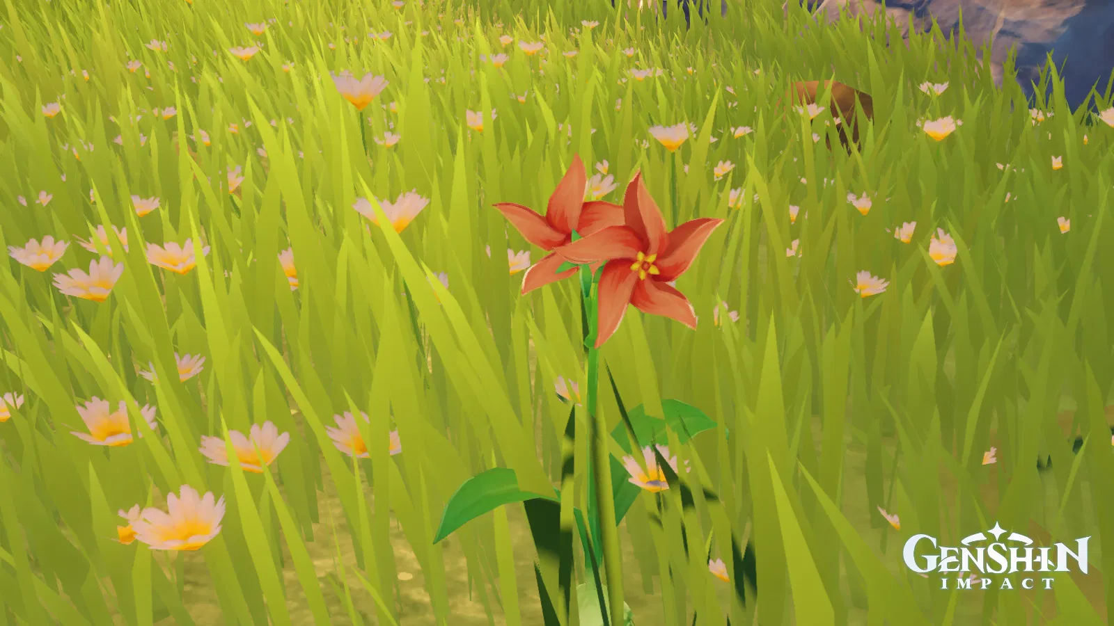 Teyvat flowers Genshin Impact | HoYoLAB