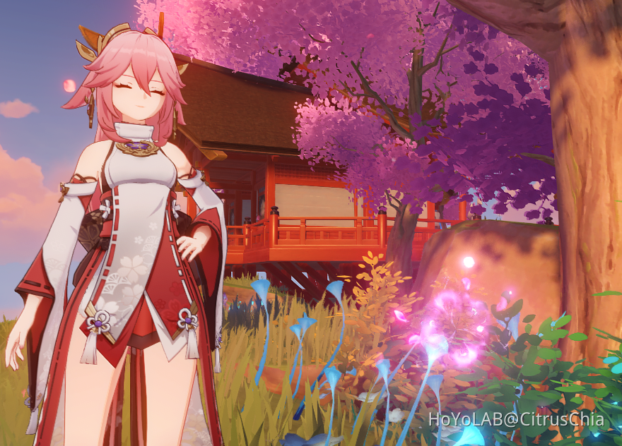 HoYoQuiz: Sakura Bloom Genshin Impact | HoYoLAB