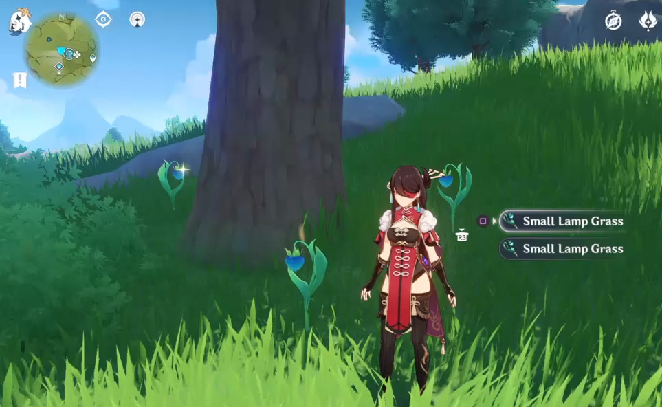 Regional Speciality: Lamp Grass Genshin Impact | HoYoLAB