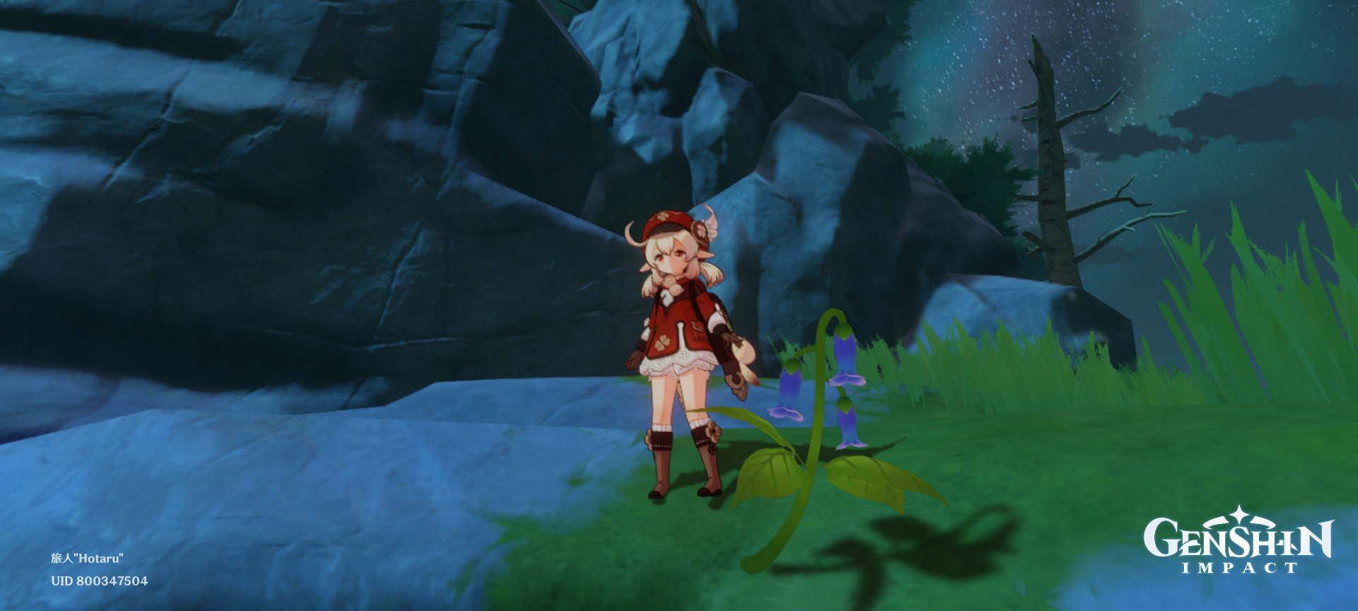 Violetgrass Genshin Impact | HoYoLAB