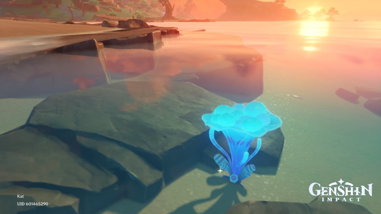 Sea Ganoderma Genshin Impact | HoYoLAB