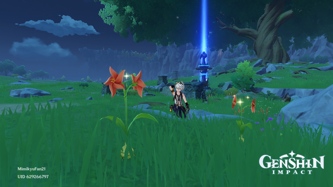 Windwheel Aster, "The Visible Winds" of Mondstadt. Genshin Impact | HoYoLAB