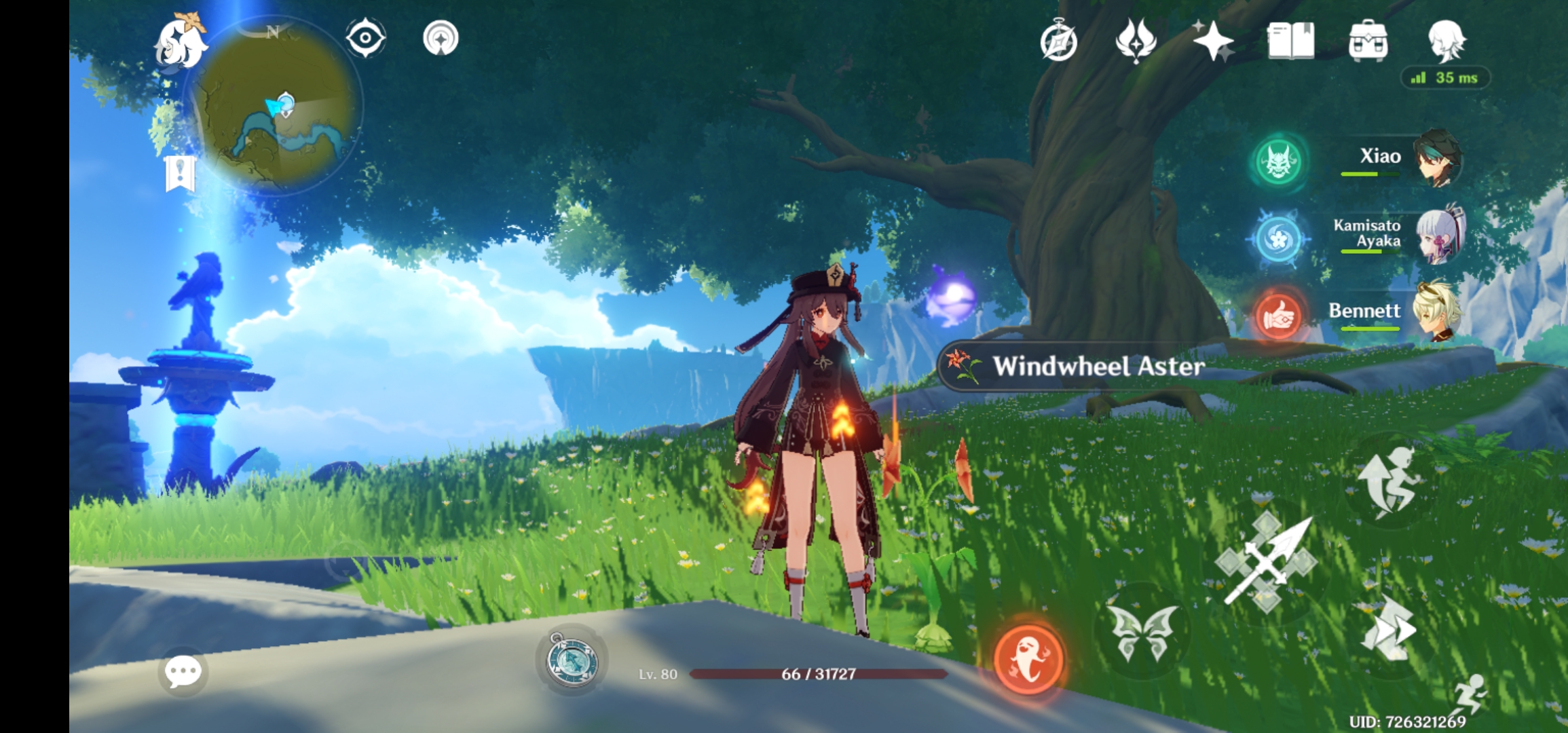 Windwheel aster|Mondstat speciality-Silk flower|Liyue speciality-Sea ...