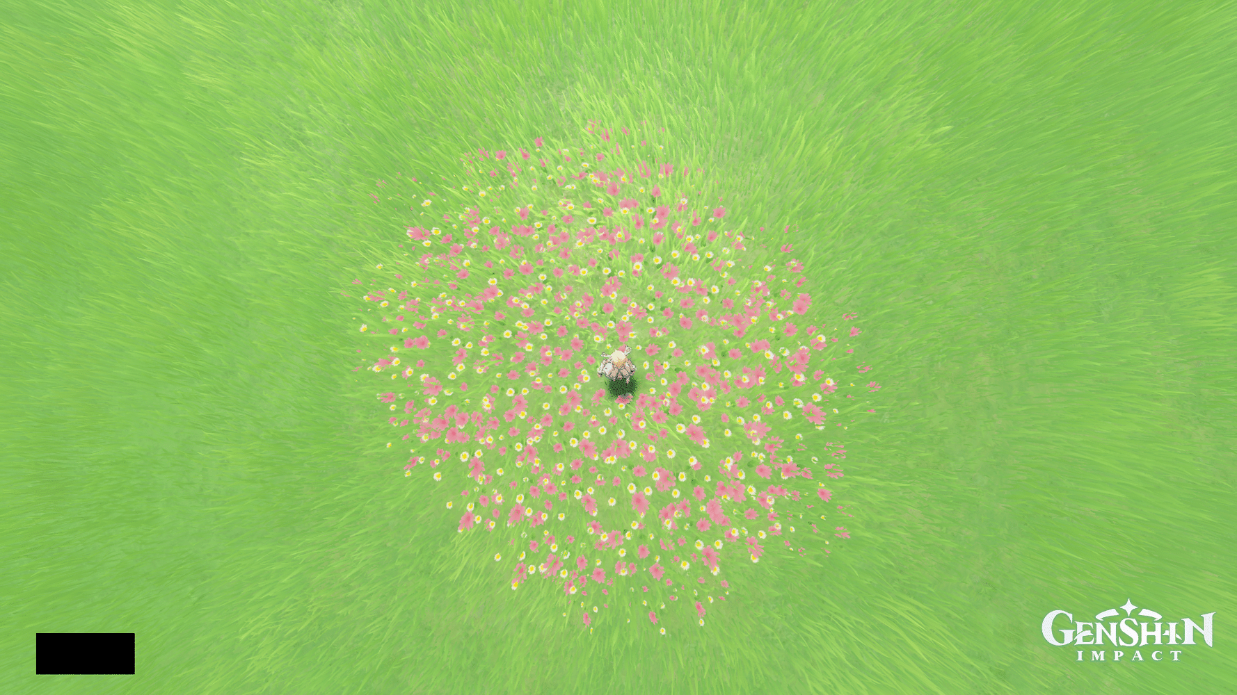 Flower Field~ 🌸 | Genshin Impact | HoYoLAB