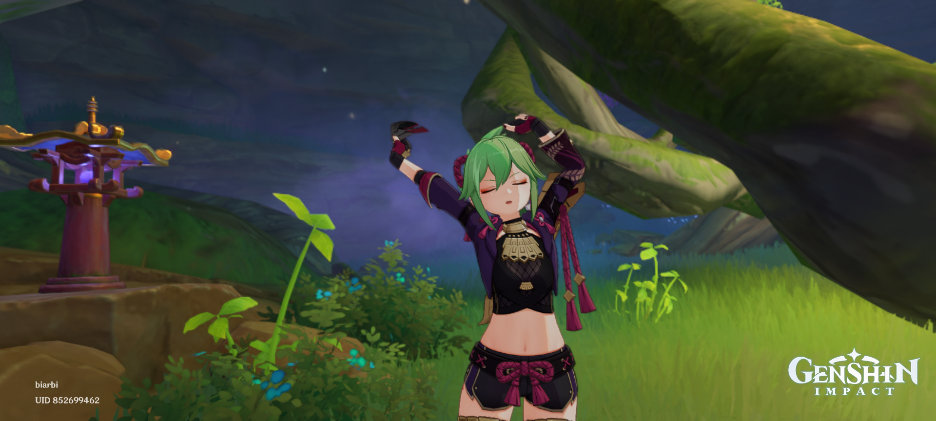 Kuki Shinobu's face | Genshin Impact | HoYoLAB