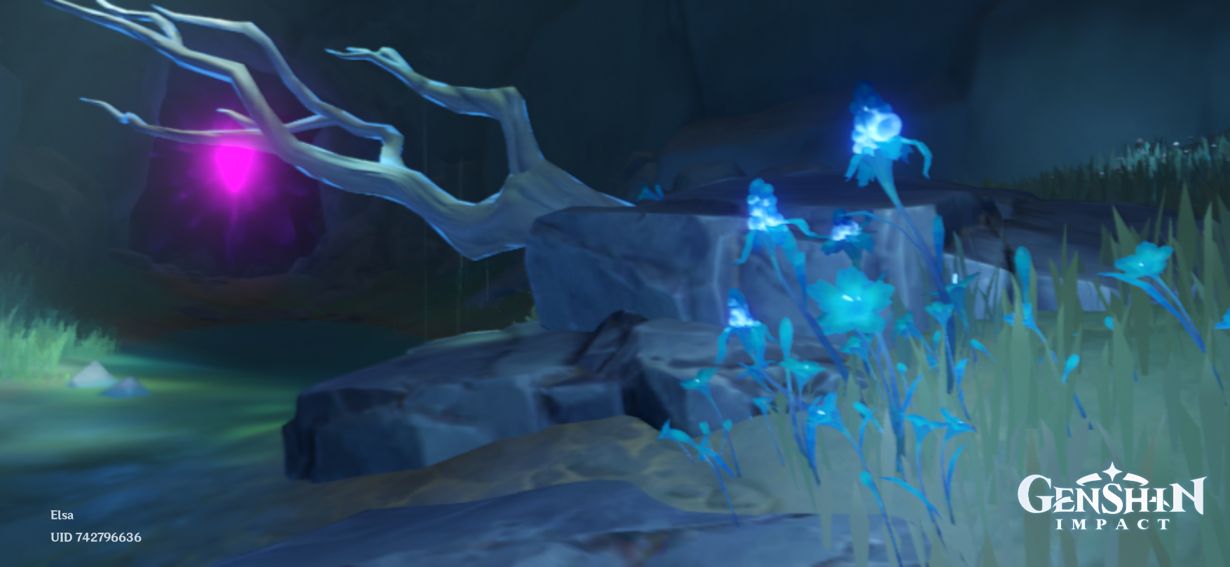 The Chasm Genshin Impact | HoYoLAB