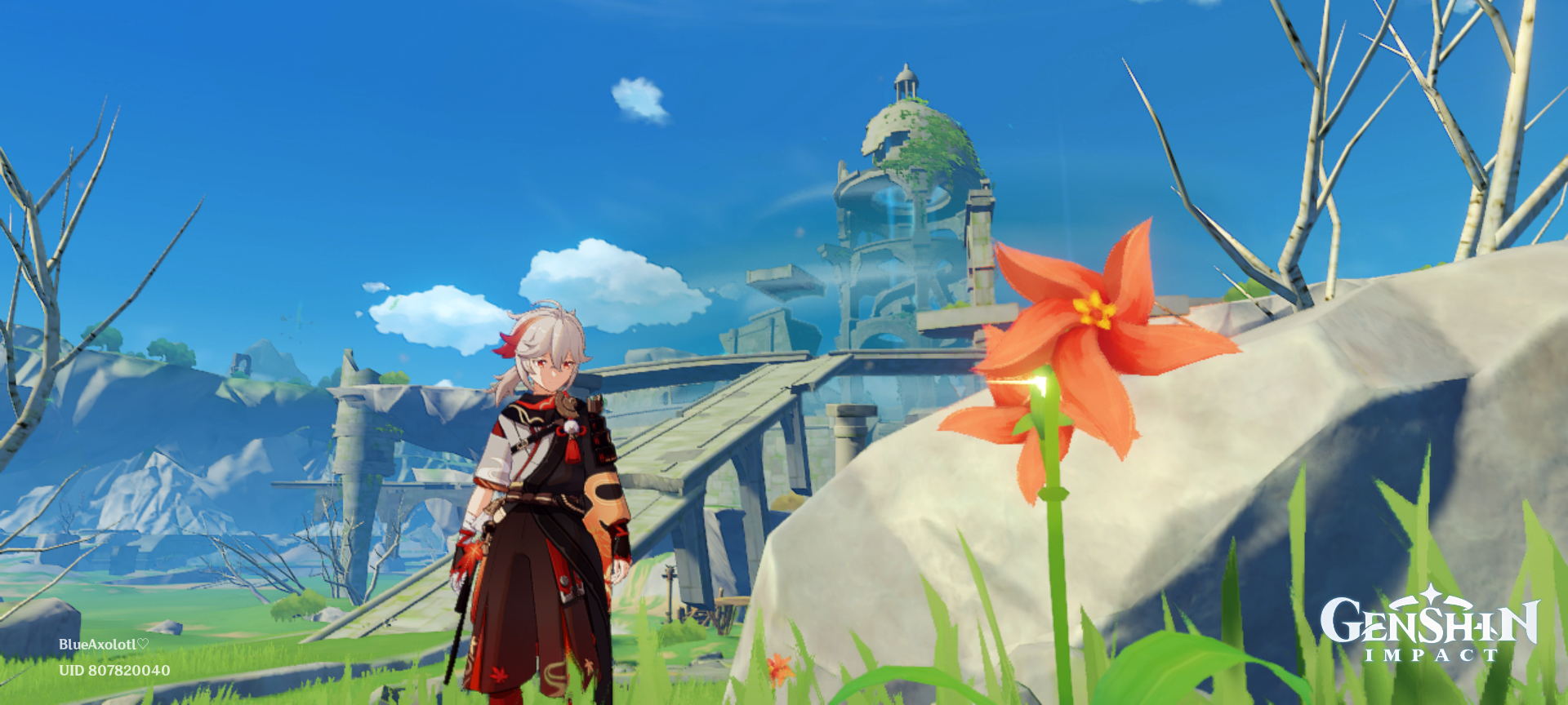 Windwheel Aster Genshin Impact | HoYoLAB