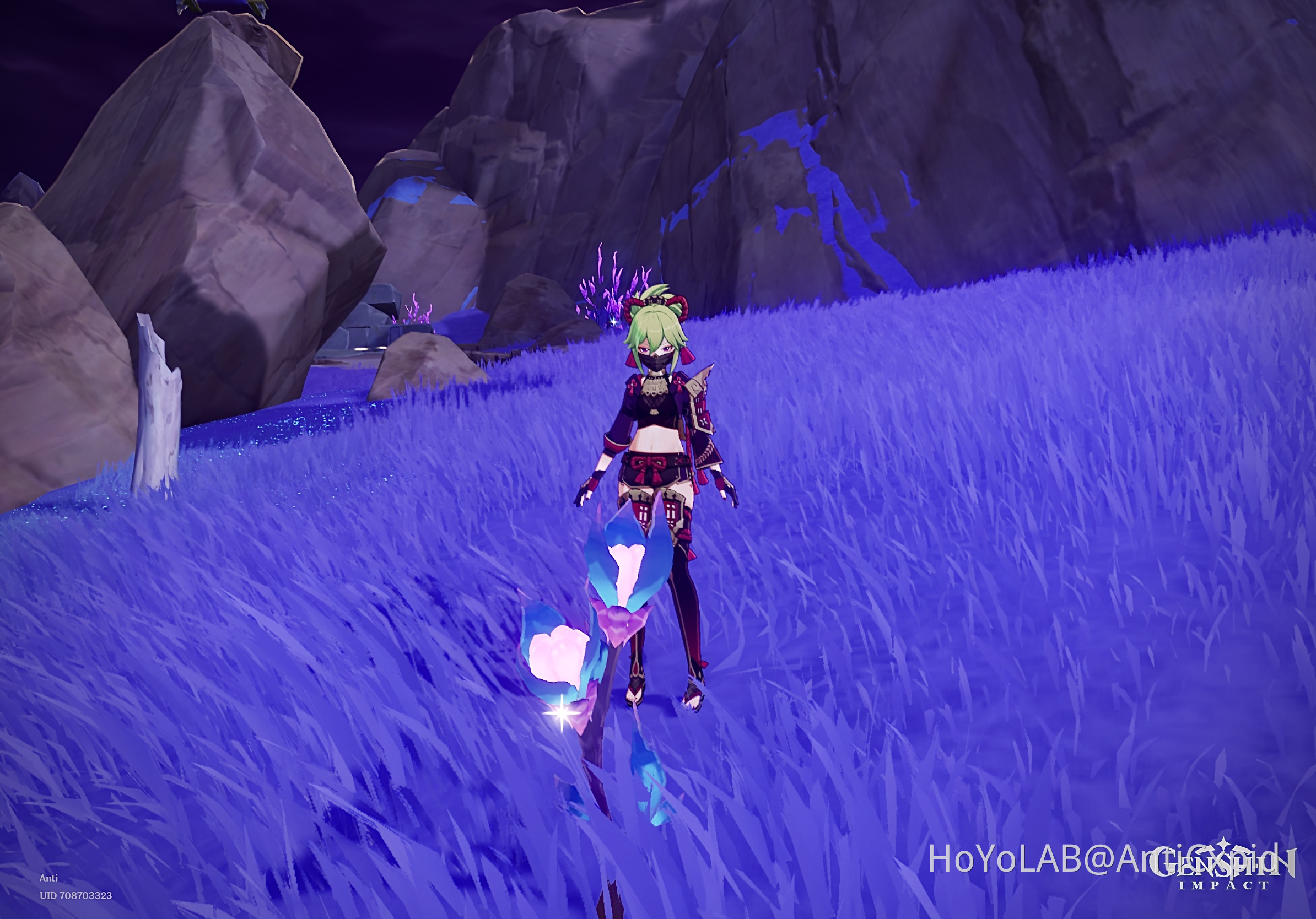 Amakumo Fruit - Local Specialty Of Inazuma Genshin Impact | HoYoLAB