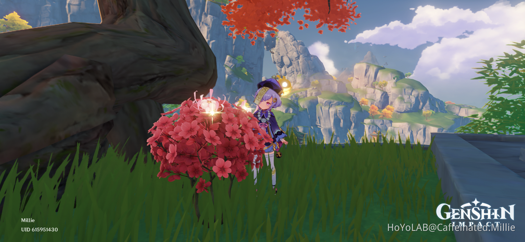 Silk Flowers :D Genshin Impact | HoYoLAB