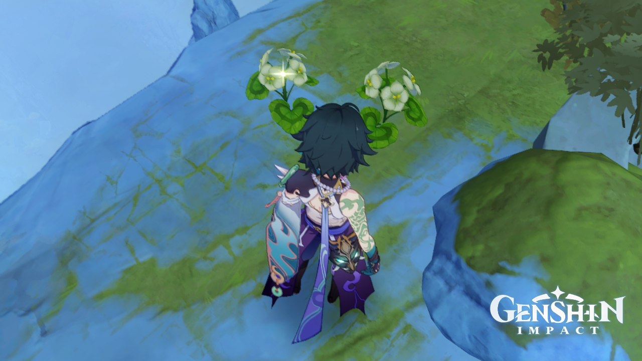 Qingxin Flowers Genshin Impact | HoYoLAB