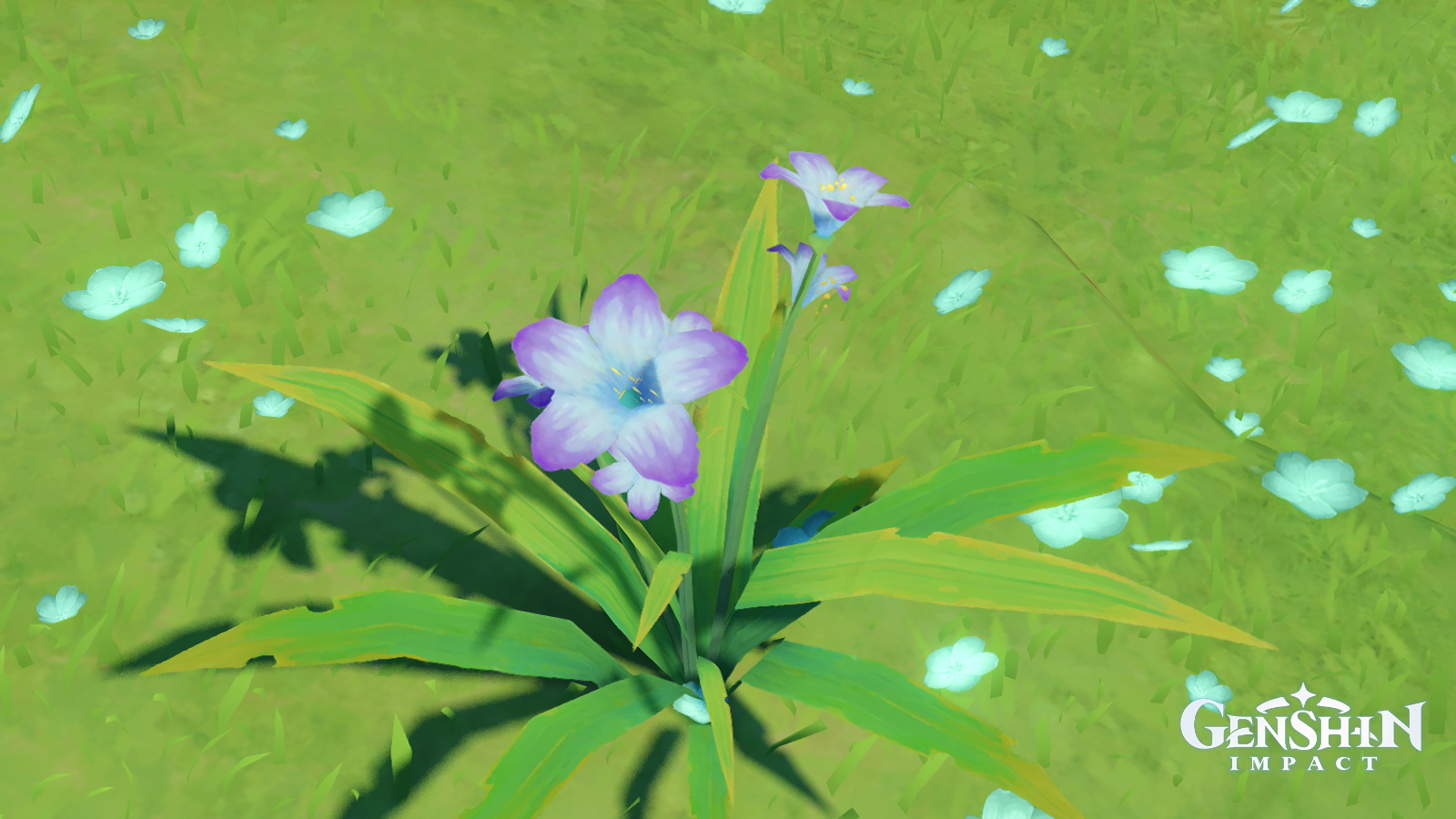 Teyvat flowers Genshin Impact | HoYoLAB