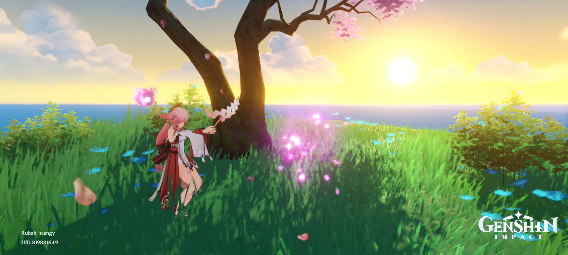 Sakura Bloom | Genshin Impact | HoYoLAB