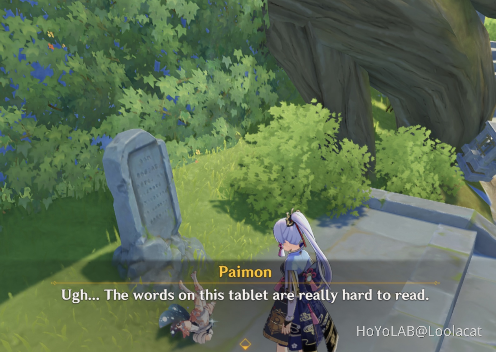 Wth happened to my paimon Genshin Impact | HoYoLAB