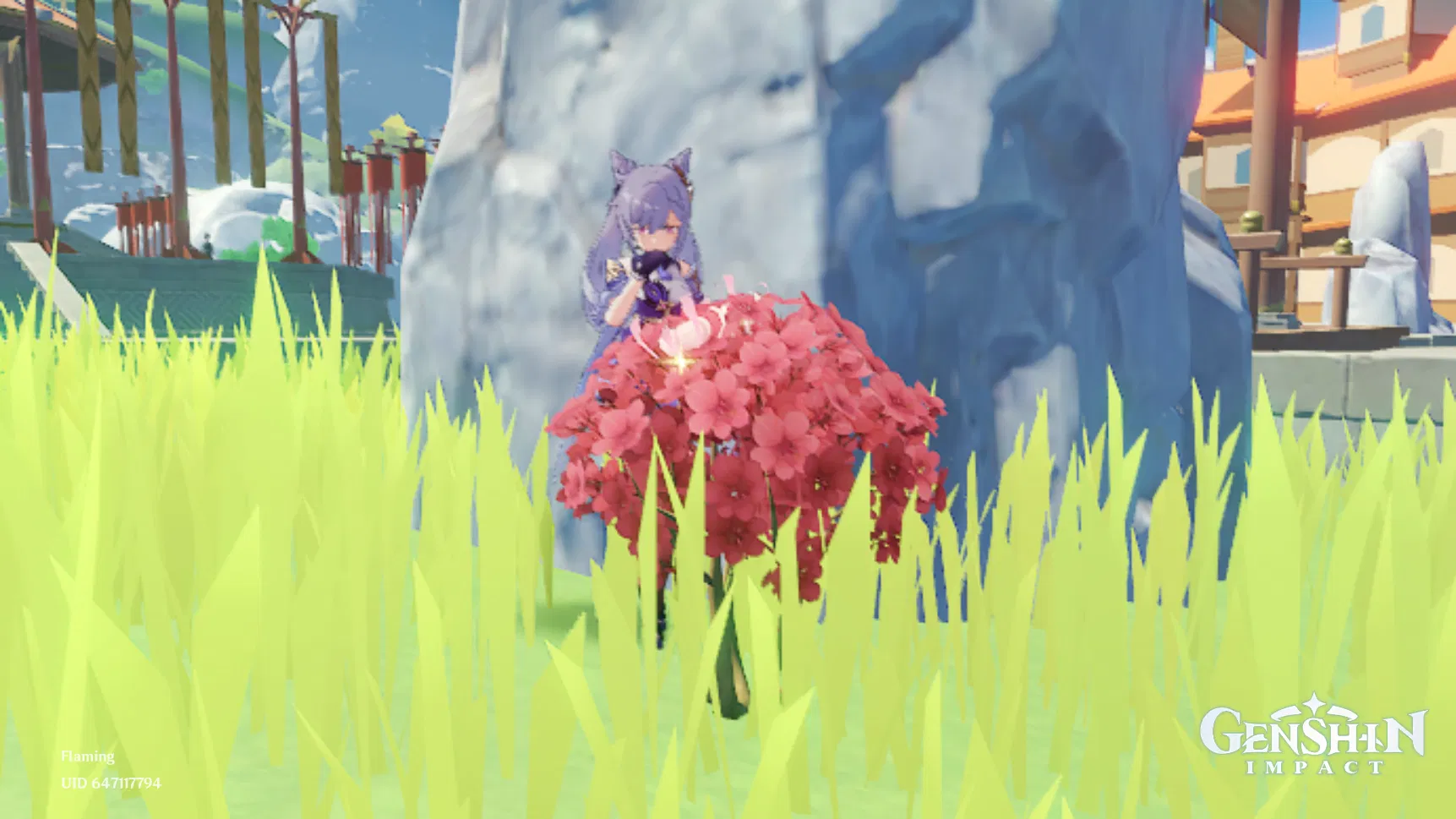 Monster, Liyue and Inazuma specialties Genshin Impact | HoYoLAB