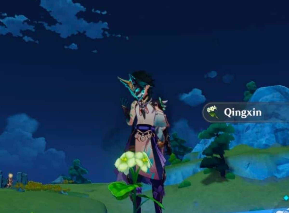Qingxin - Liyue specialty Genshin Impact | HoYoLAB